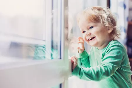 4BIRD® | Saint-Gobain Glass