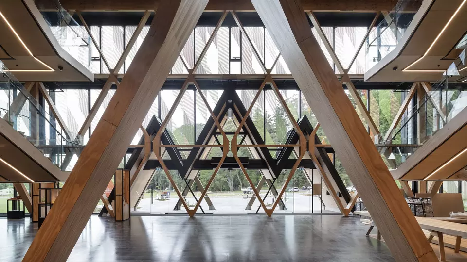 SCION BUILDING - Whakarewarewa, New Zealand | Saint-Gobain Glass