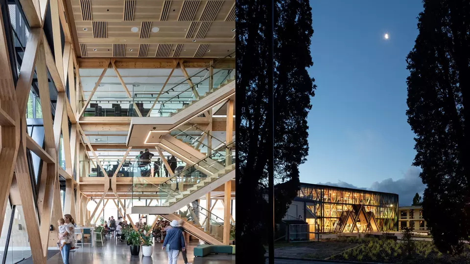 SCION BUILDING - Whakarewarewa, New Zealand | Saint-Gobain Glass